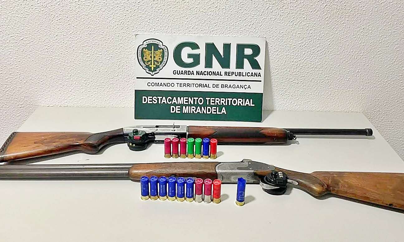 MIRANDELA: GNR DETEVE SUSPEITOS DE CAÇA ILEGAL NOTURNA EM ÁREA ...